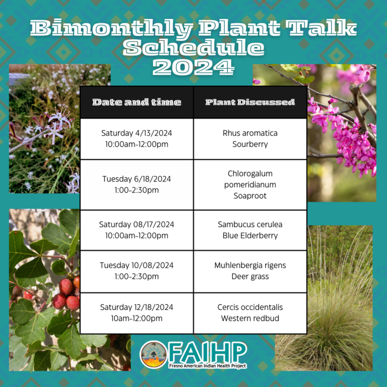 FAIHP – Healing the Native Community Since 2007